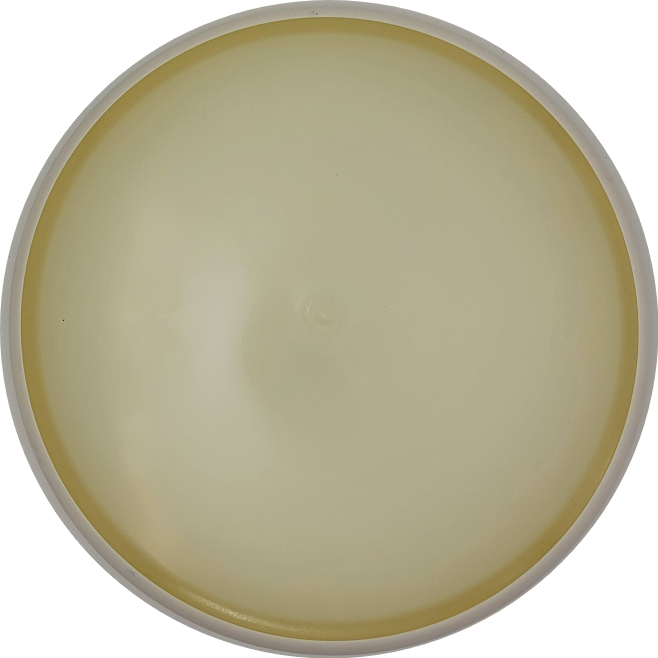 MVP Eclipse Watt - Blank (no top stamp) | Putt & Approach 2/5/-0.5/0.5 | Local Route